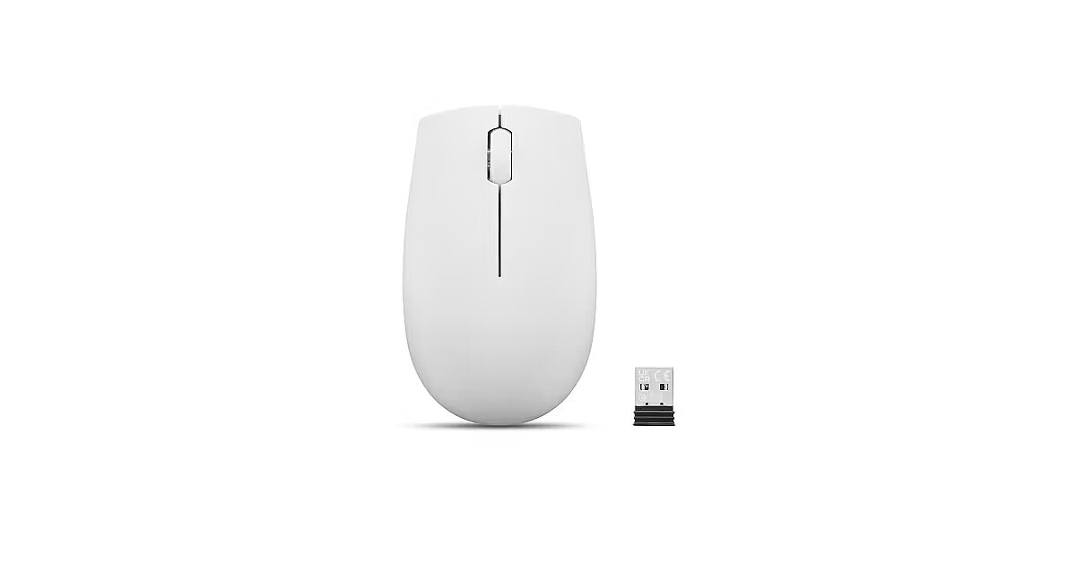Lenovo 300 Wireless Compact Mouse, Cloud Grey (GY51L15677)