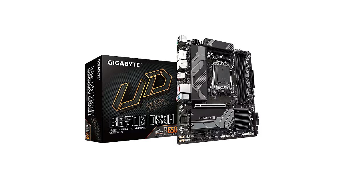 Gigabyte B650M DS3H (B650M DS3H)