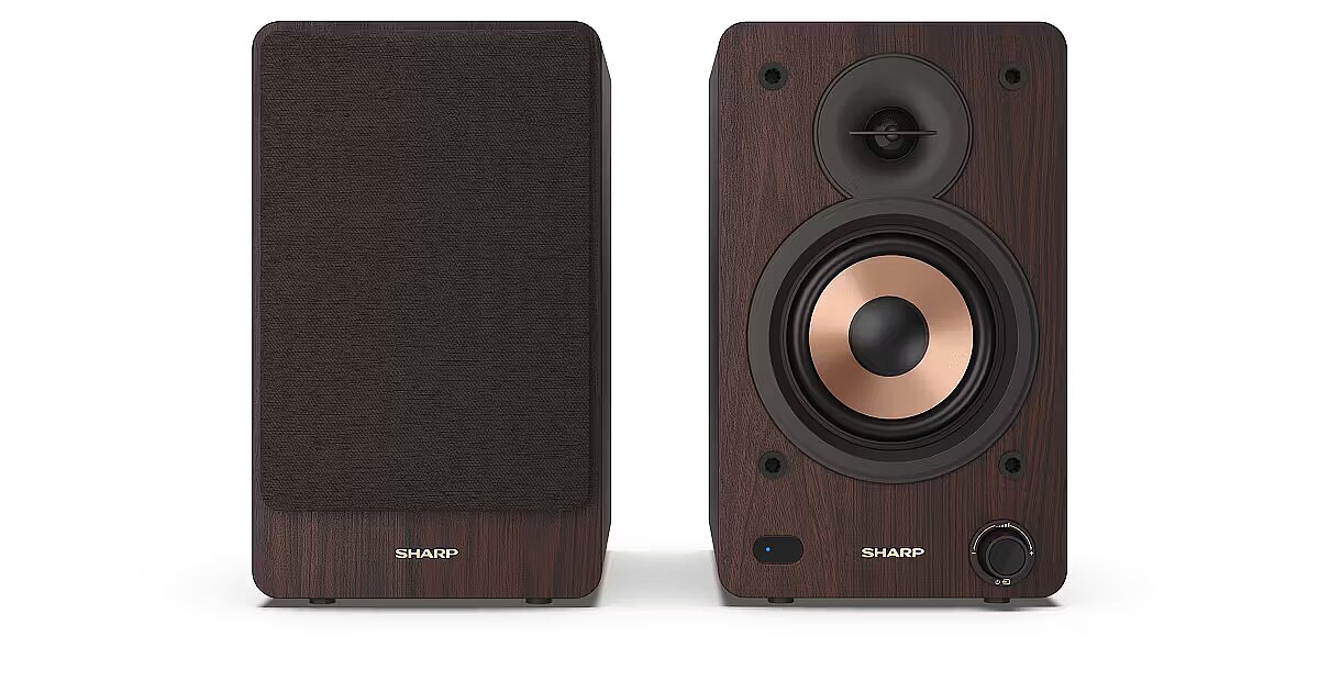 Sharp CP-SS30 Bookshelf Speakers, Brown (CP-SS30(BR))