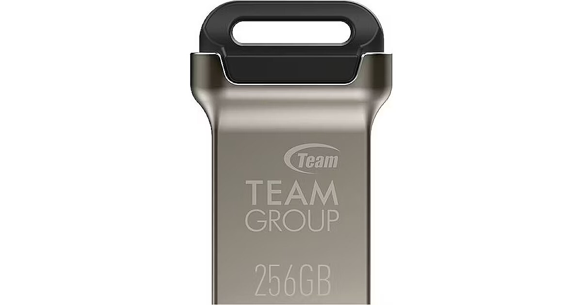 TeamGroup C162, 256GB, Silver (TC1623256GB01)