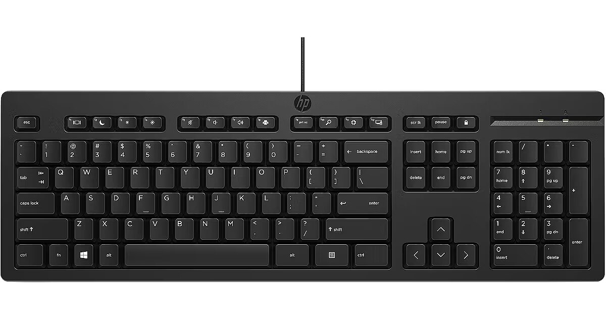 Hewlett Packard Wired Keyboard 125, Rus/Eng (266C9AA#ACB)