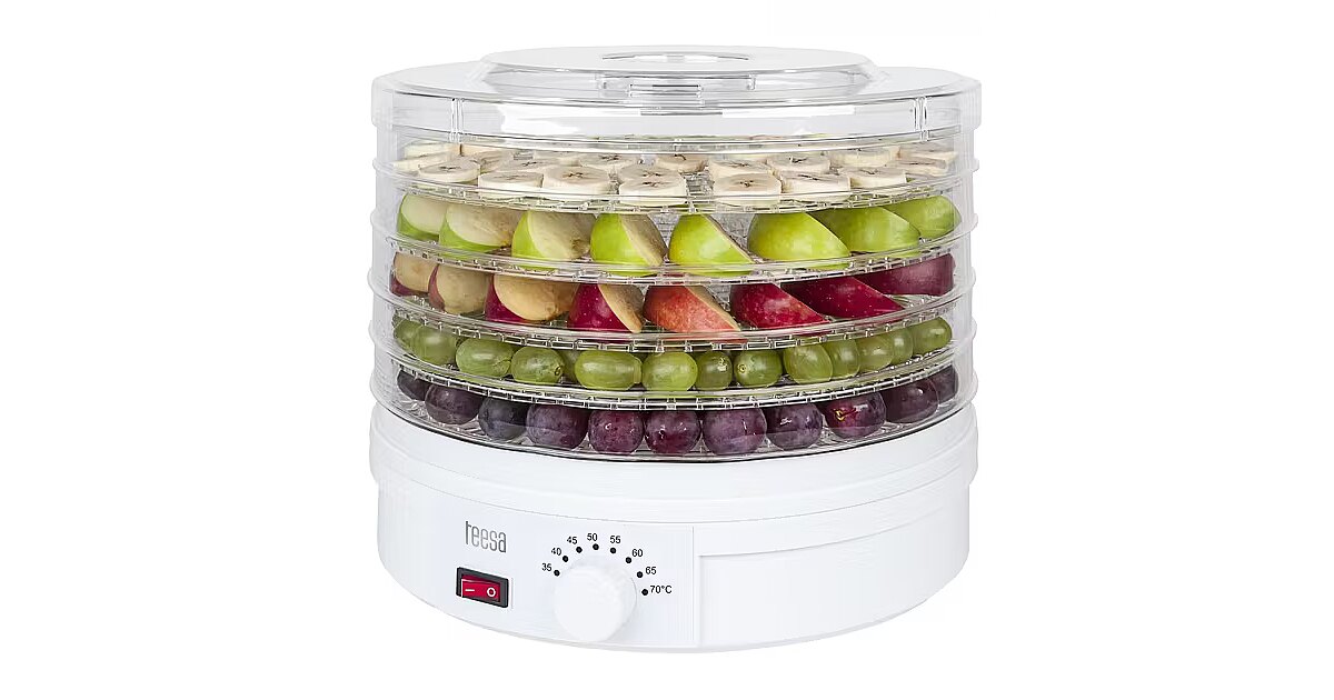 TEESA Dryer for mashrooms, vegetables, fruits (TSA3030)