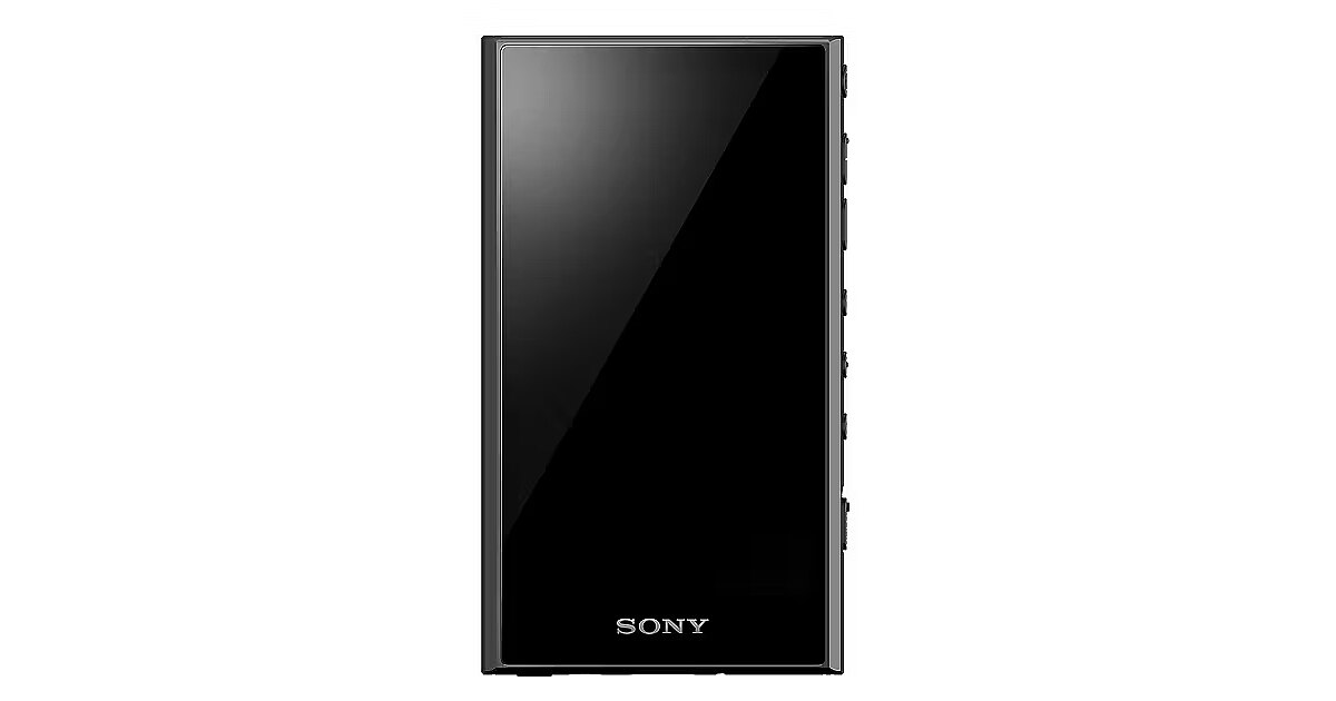 Sony NW-A306 Walkman A Series Portable Audio Player 32GB, Black ...