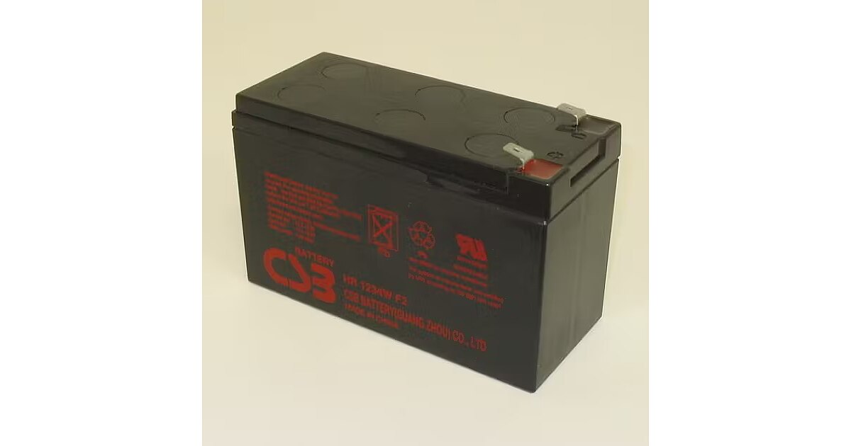 CSB HRL 1234WF2 12V 9.0Ah 10 YEARS (HRL1234WF2)