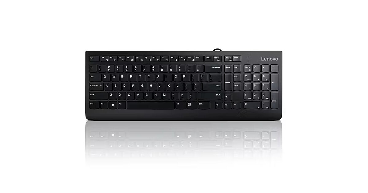 Lenovo 300 USB Keyboard (GX30M39655)