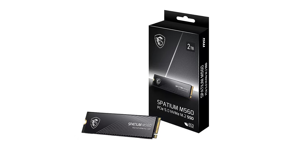 MSI SPATIUM M560, 2TB, M.2 Gen5 x4 (S78-440Q940-P83)