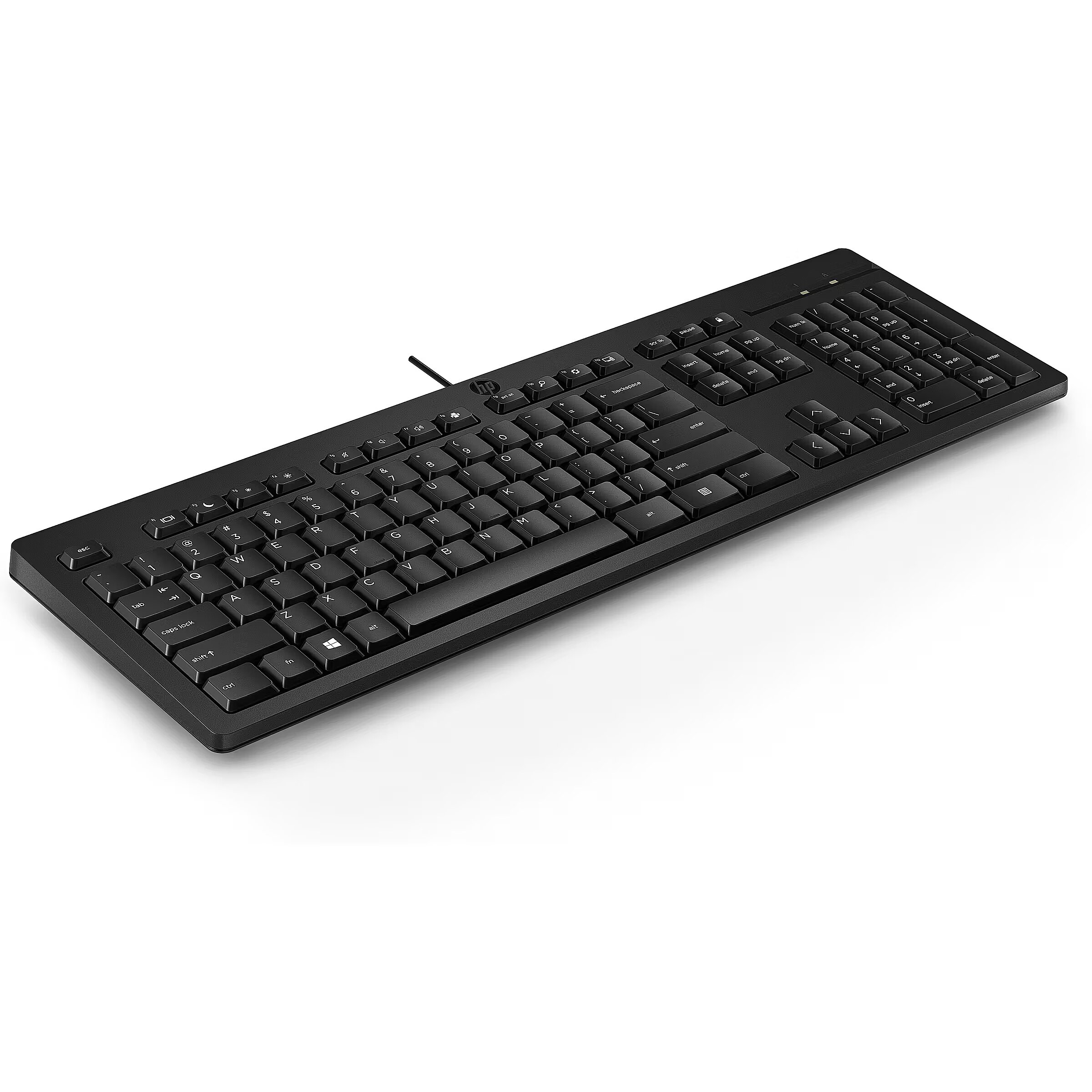 Hewlett Packard Wired Keyboard 125, Rus/Eng (266C9AA#ACB)